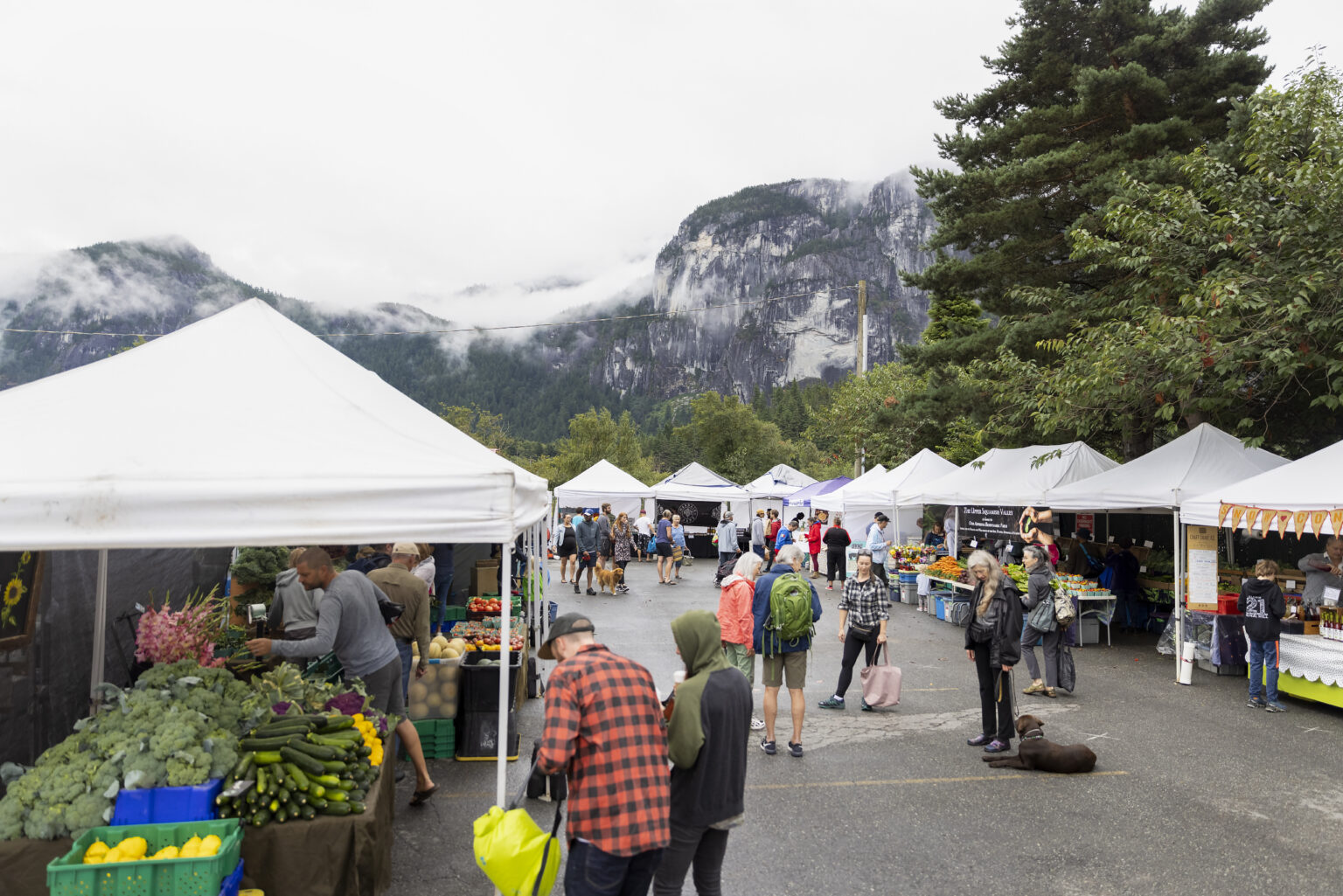 Explore the Squamish Passport Tour - The BC Farmers’ Market Trail