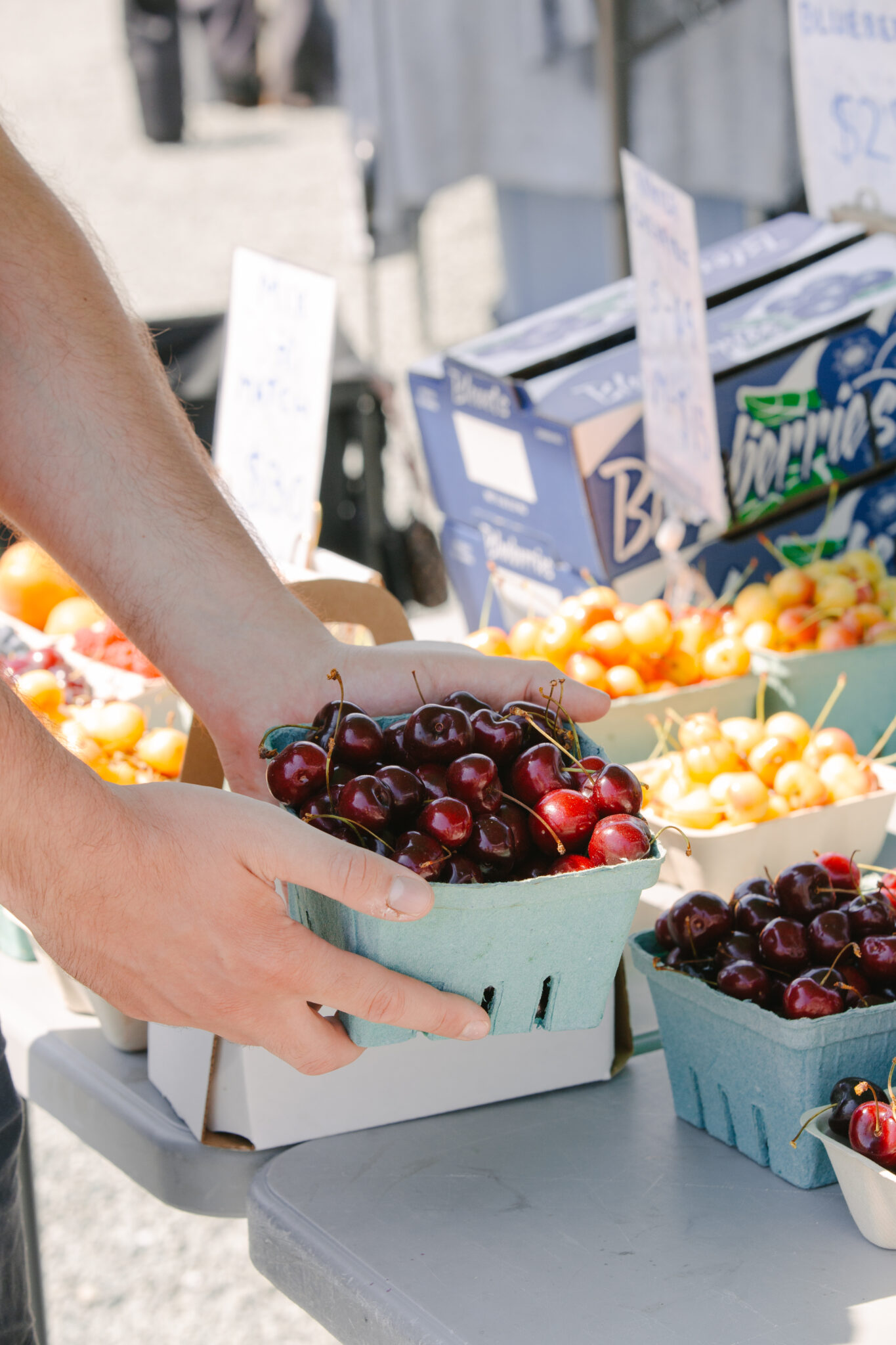 Pedal and Explore with BC Farmers' Markets: A Day Trip Along Delta’s ...