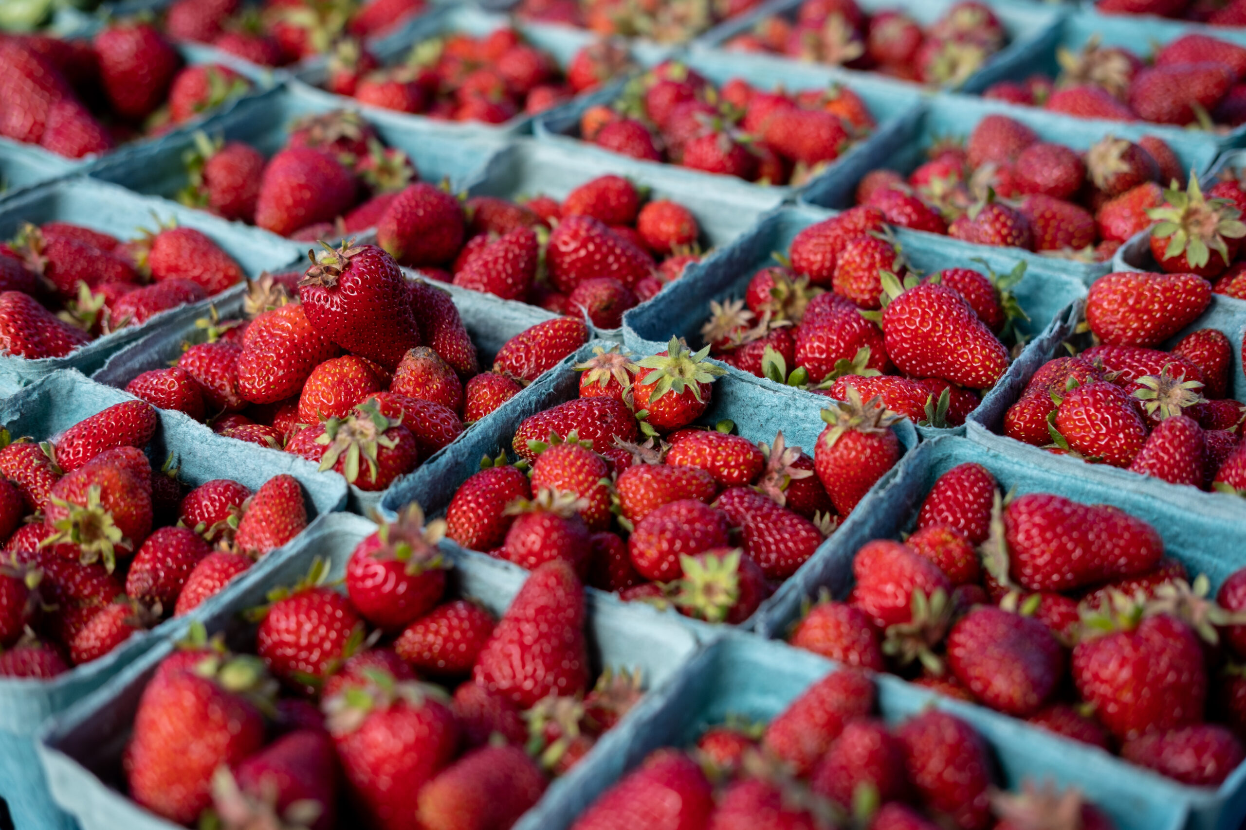 Island Roots Market Co-op - The BC Farmers’ Market Trail