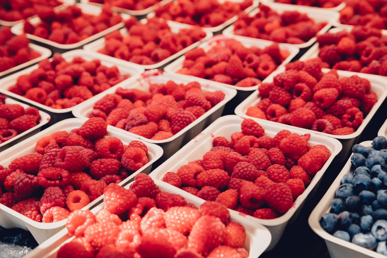 Pedal and Explore with BC Farmers' Markets: A Day Trip Along Delta’s ...