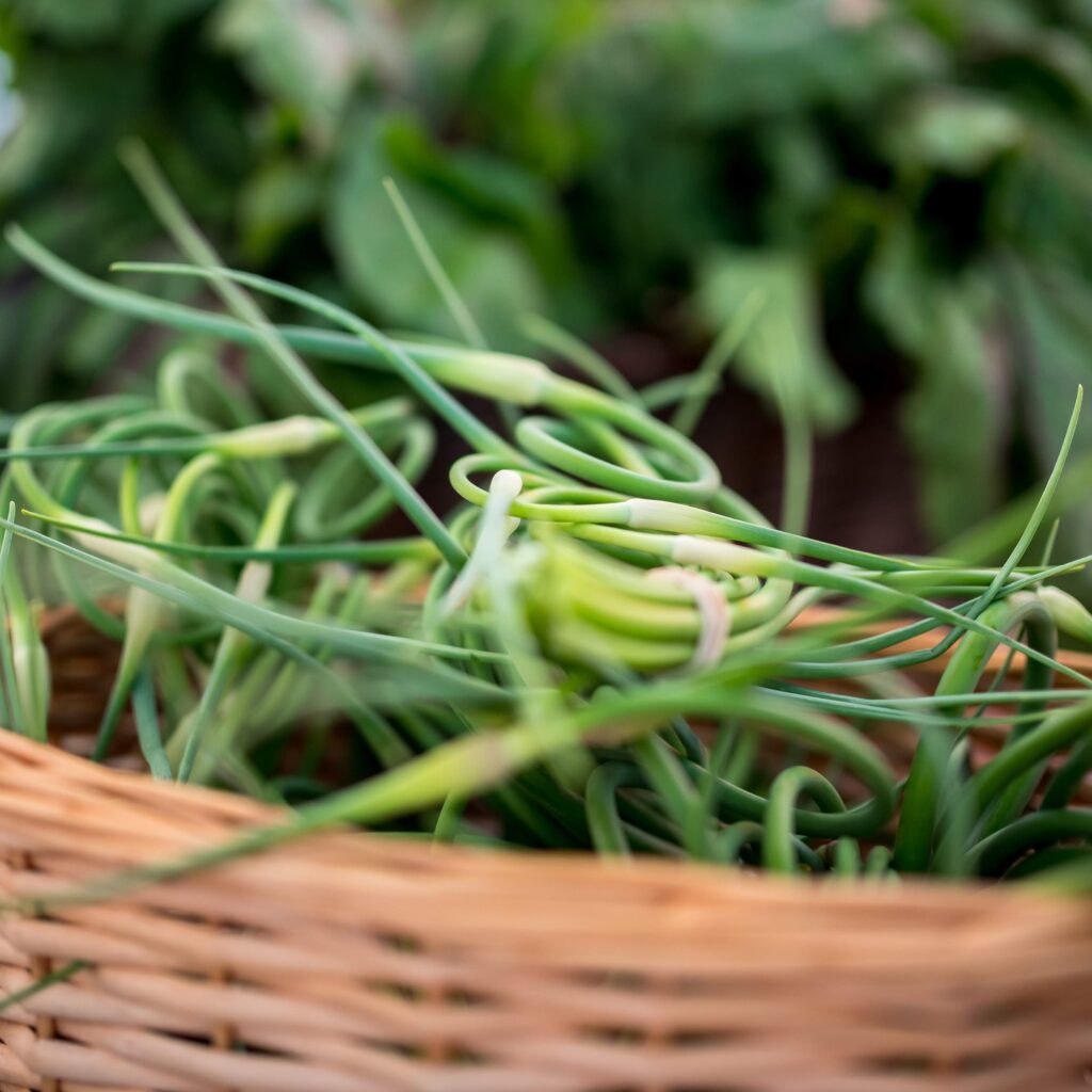 Explore the Prince George Passport Tour - The BC Farmers’ Market Trail