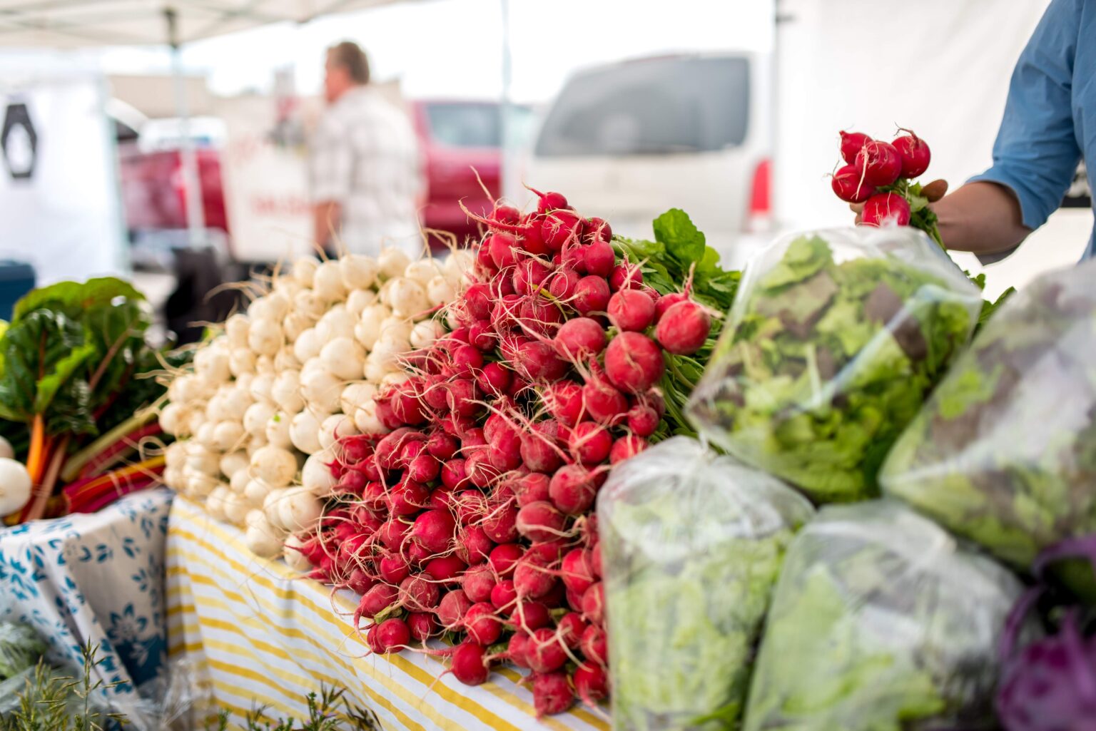Explore the Prince George Passport Tour - The BC Farmers’ Market Trail