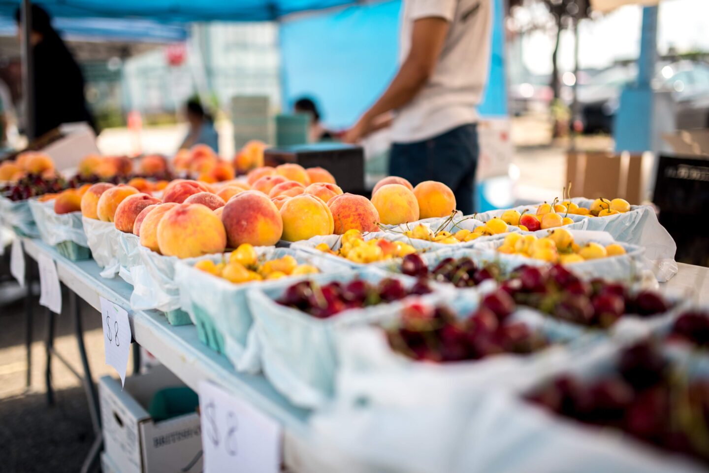 Explore Local Flavour on the Prince George Passport Tour - The BC ...